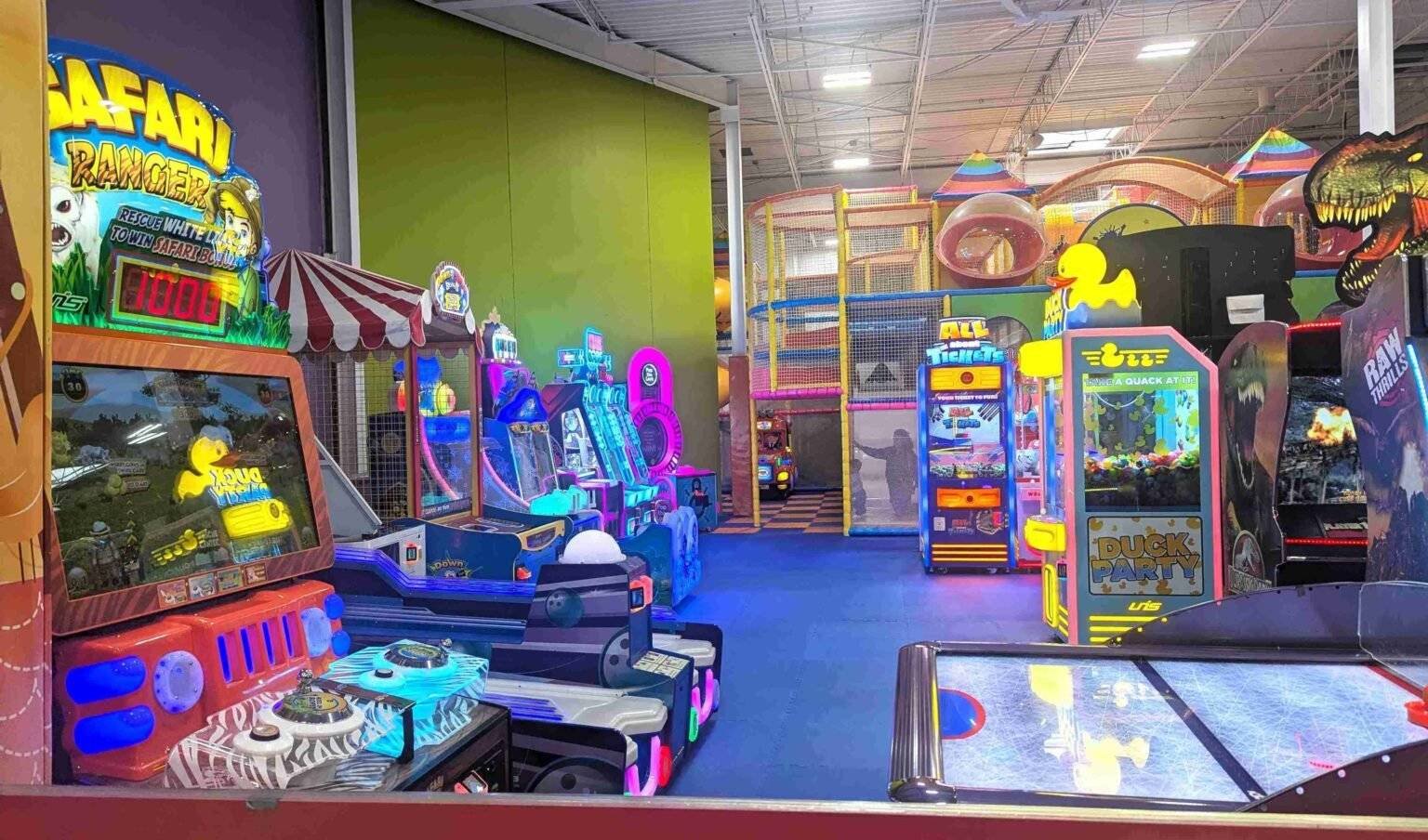 Playcious Indoor Playground in Vaughan | Bumper Cars, Safari Ball Pool ...